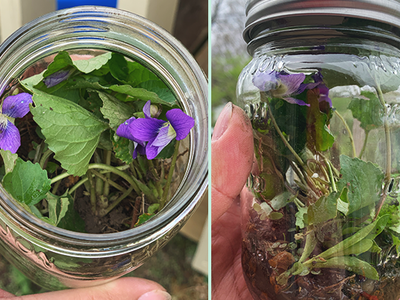 Kidzeum • Step-by-Step Activities | Kidzeum of Health and Science