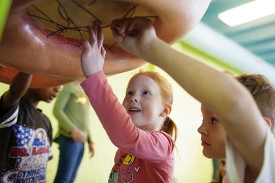 Plan Your Visit | Kidzeum | Kidzeum of Health and Science