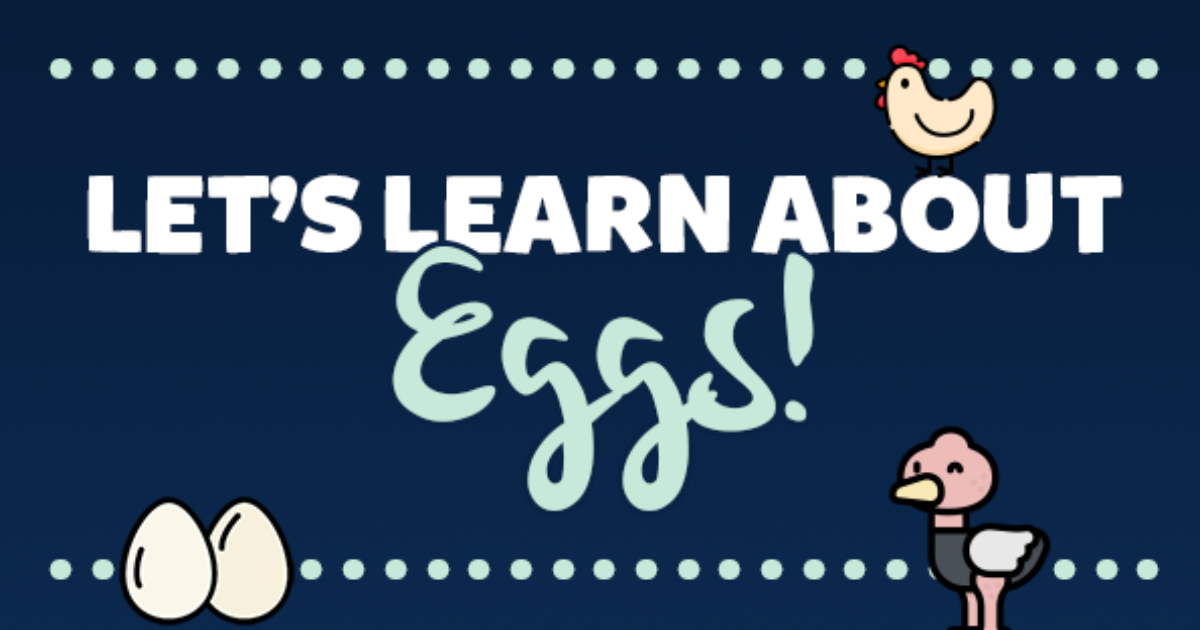 Let's Learn About Eggs! • Kidzeum | Kidzeum of Health and Science